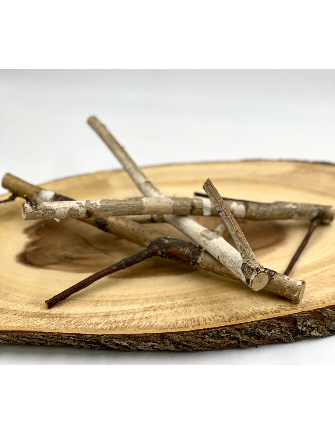 Natural Birch Branch for Small Pet Enclosures | Habitat Décor & Enrichment