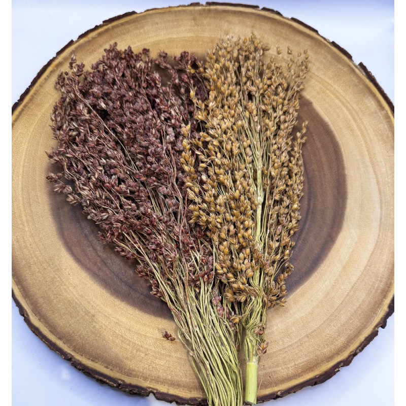 Broom Millet Sprays for Hamsters, Birds, Mice & Gerbils – Natural ...