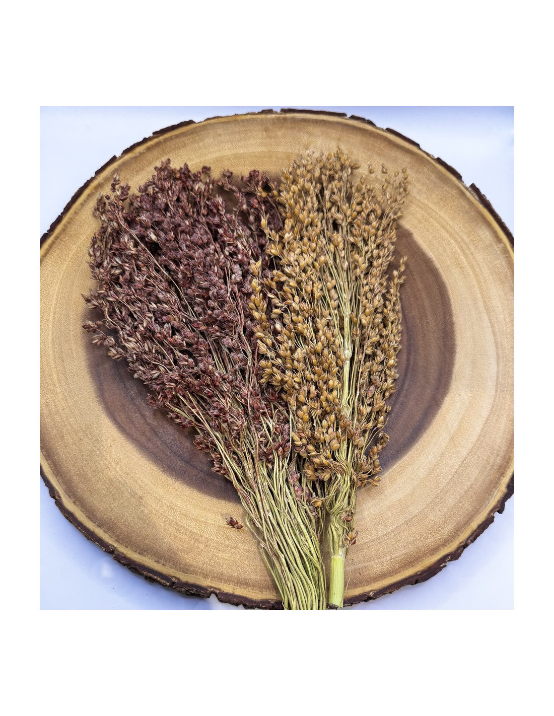 Broom Millet Sprays for Hamsters, Birds, Mice & Gerbils – Natural ...
