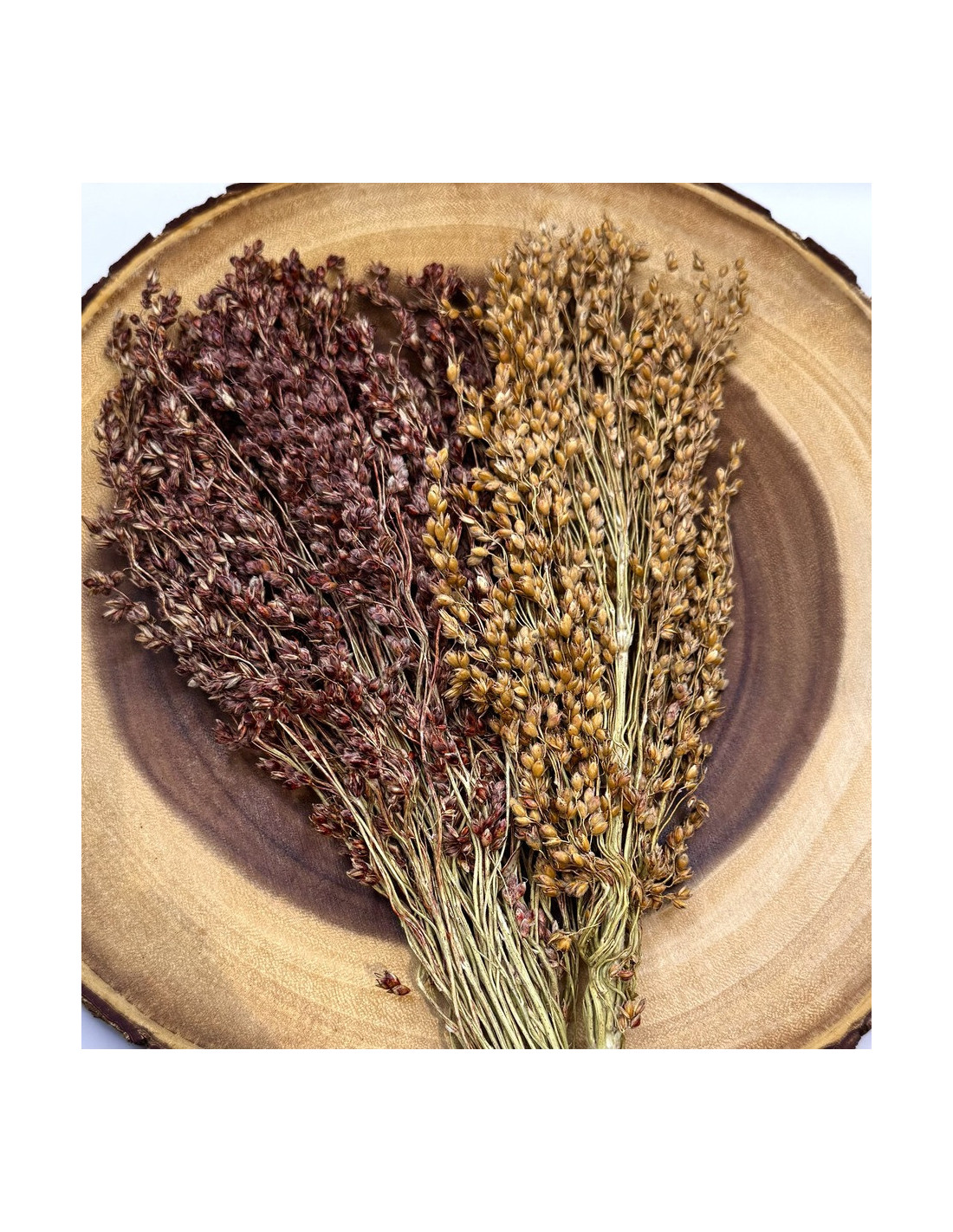 Broom Millet Sprays for Hamsters, Birds, Mice & Gerbils – Natural ...