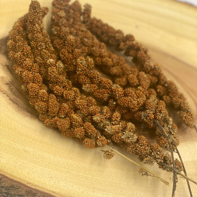 Natural Red Millet Spray Small Animals Birds