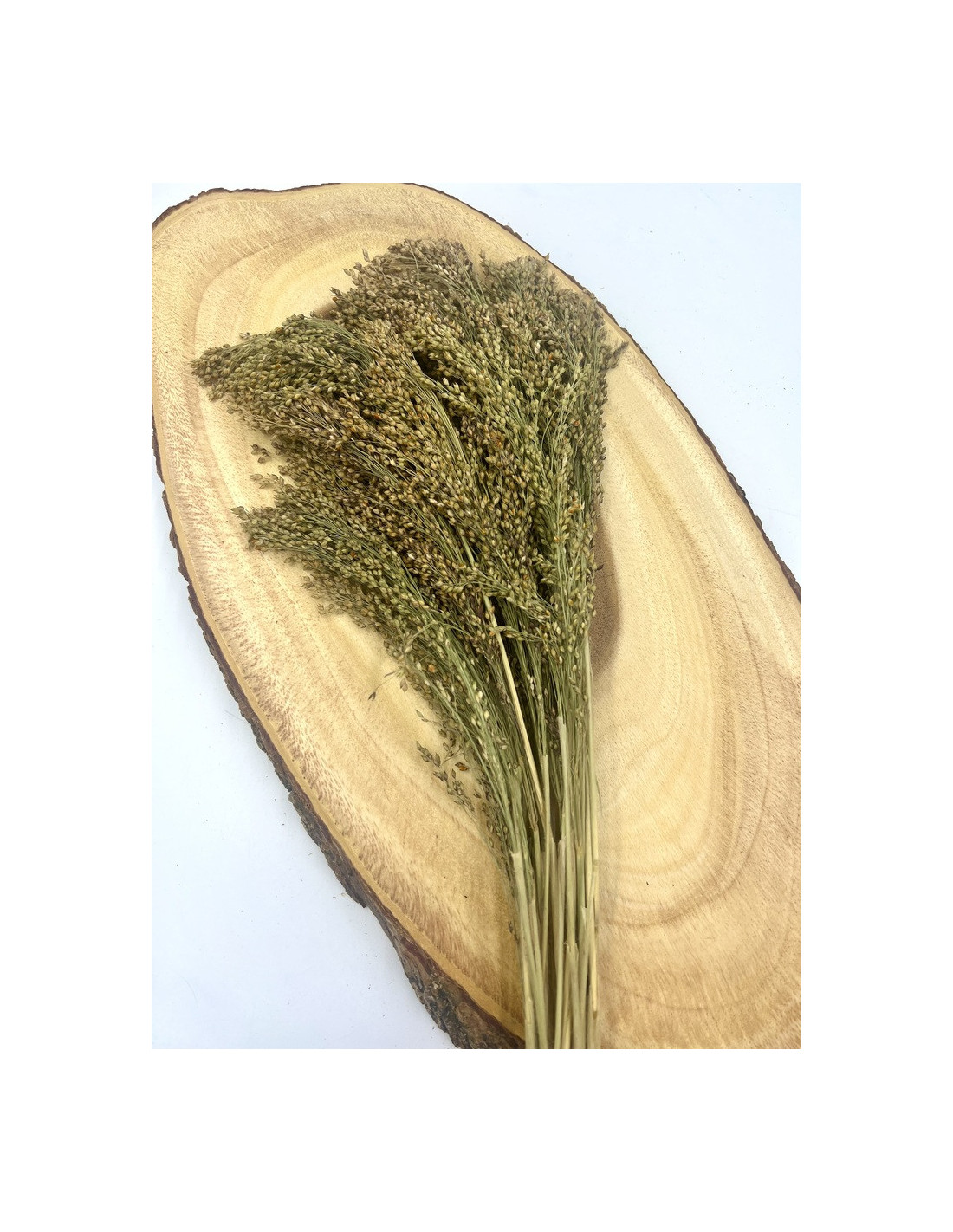 Panicle Millet Sprays Small Animals and Birds