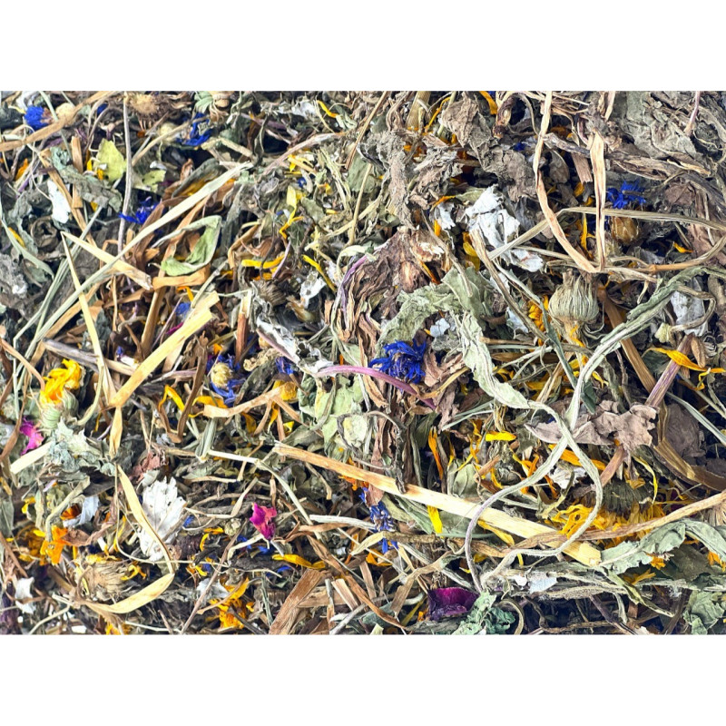 Summer Sensation Forage Mix for Small Animals