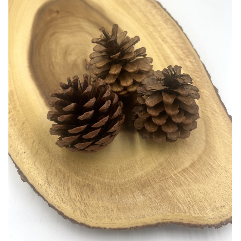 Short Pinecones for Small Pets | Natural Chew, Forage & Cage Décor