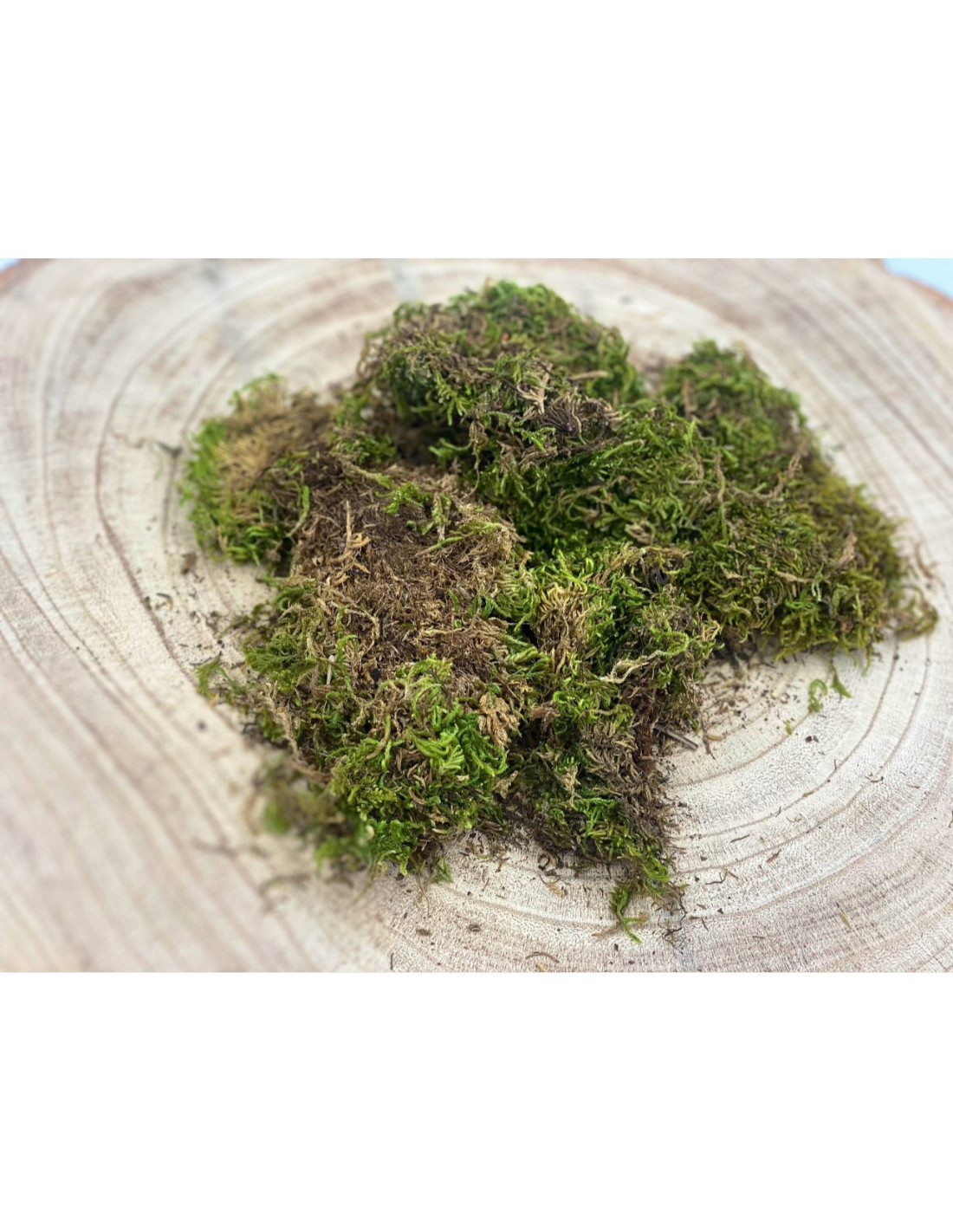 Dried Moss Fibres Natural Enrichment For Small Animals