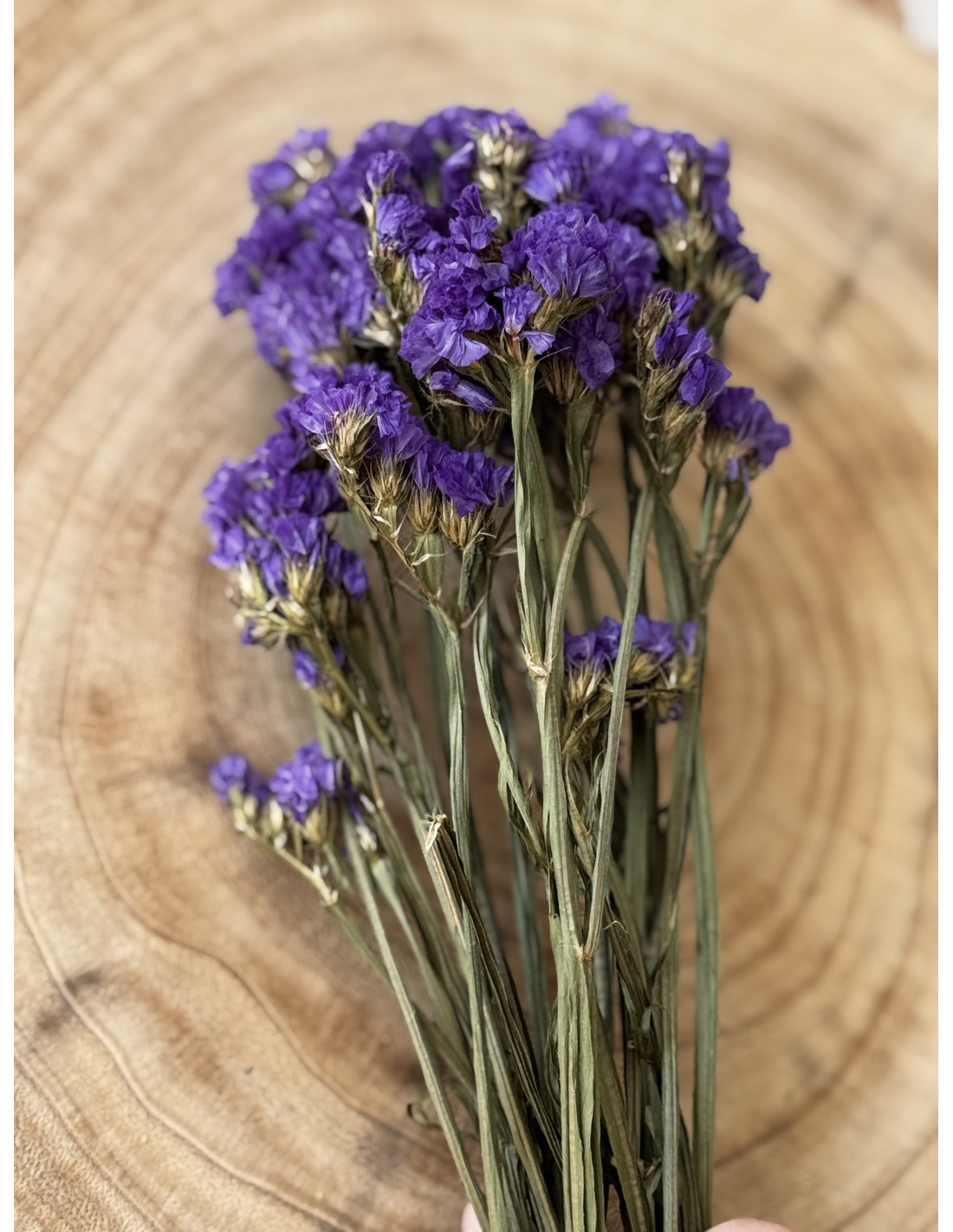 Dried Purple Statice Flower Spray