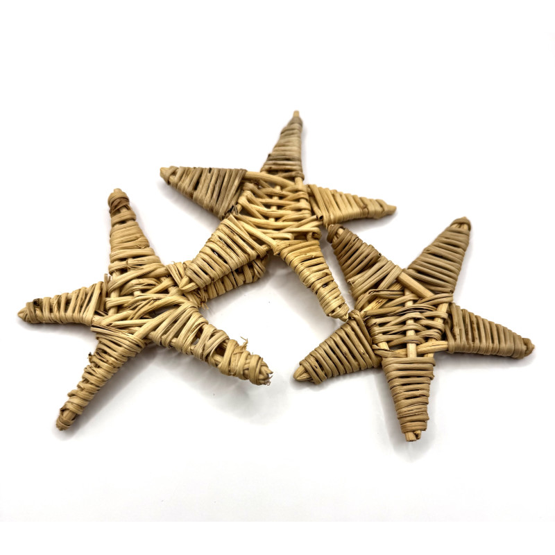 Vine Star Chew Toy for Small Pets | Foraging & Enrichment