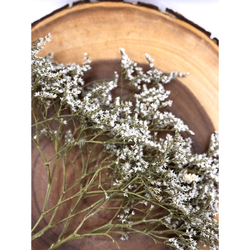 German Statice Flower Forage For Small Animals