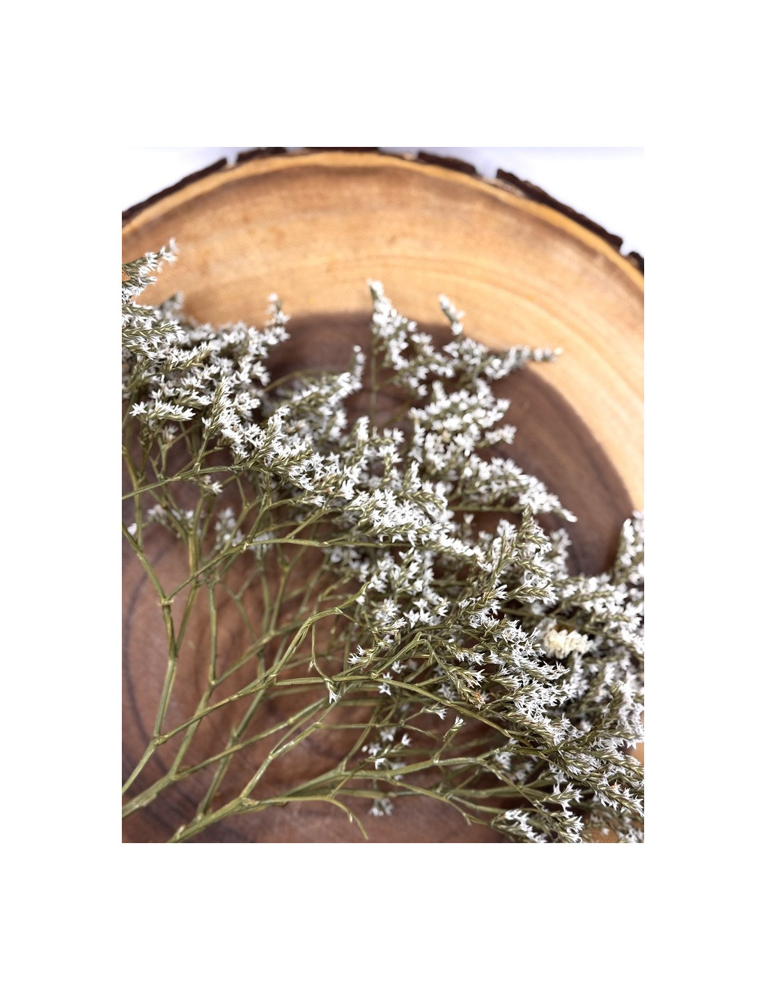 German Statice Flower Forage For Small Animals