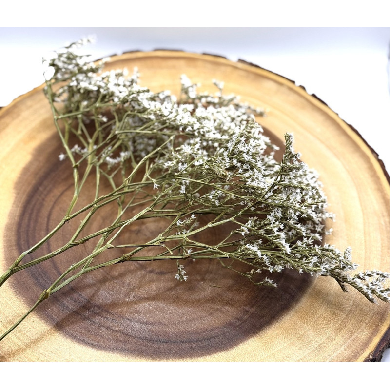 German Statice Flower Forage For Small Animals